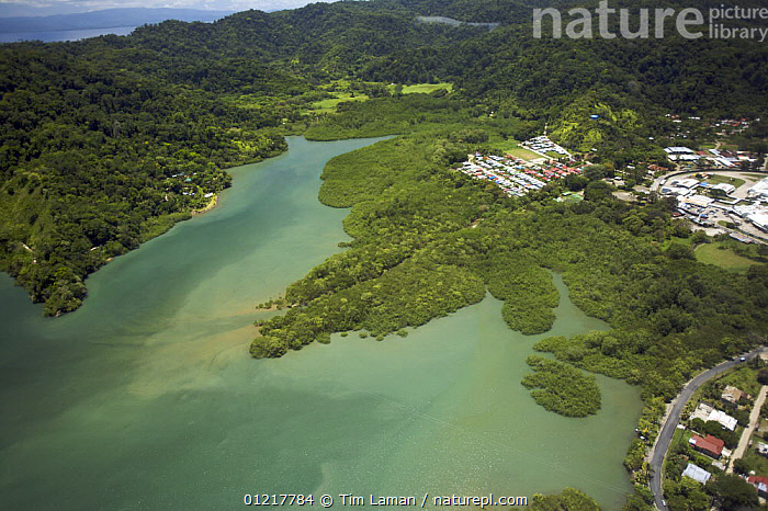 Stock photo of Aerial view of Golfito Bay with mangrove forest ...