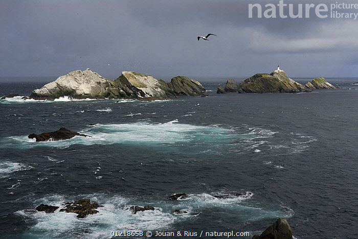 Stock photo of Muckle Flugga lighthouse, Hermaness National Nature ...