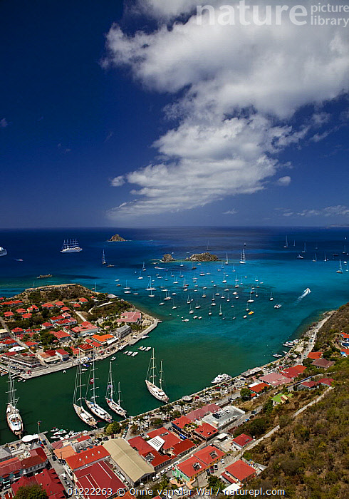 Stock photo of Island of Saint Barths, French West Indies 2009 ...