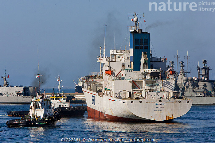 Stock photo of Naval vessels, Valparaiso, Chile 2008. Editorial use ...