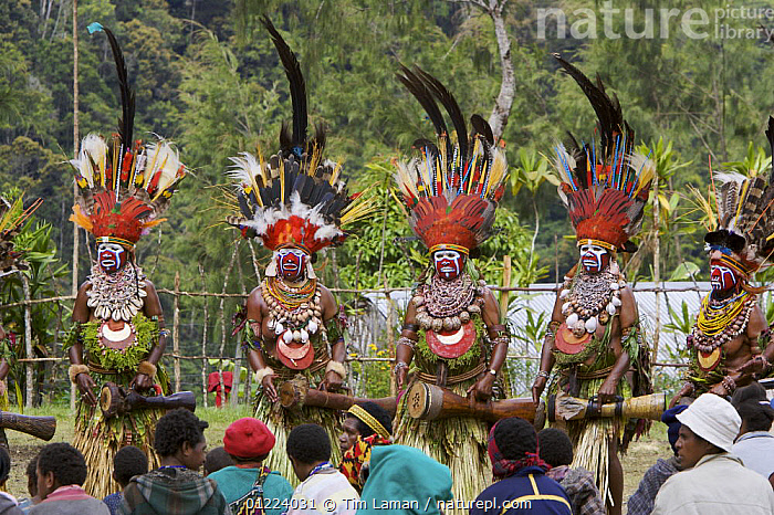 Stock photo of Villagers in traditional costume at Payakona Village ...