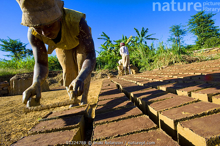 Stock photo of Woman making bricks with mud for traditional building ...