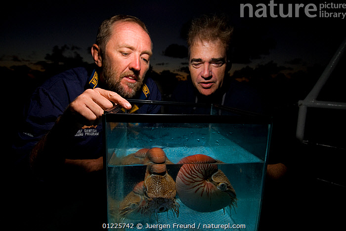 Stock photo of Andy Dunstan and Dr. Peter Ward observing caught ...