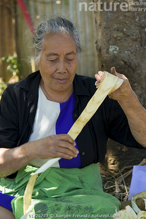 Mulberry Tree Bark Cloth