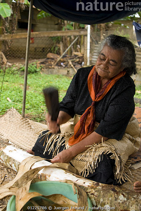 Mulberry Tree Bark Cloth