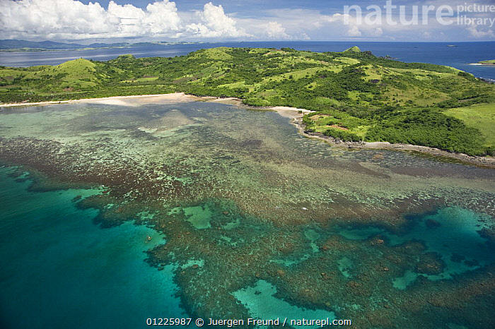 Stock photo of Aerial view of coral reef, coast and islands, Camarines ...