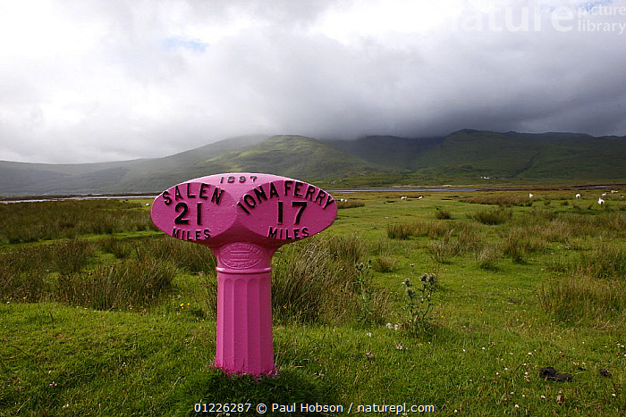 Stock photo of Pink road sign on Isle of Mull, Inner Hebrides, Scotland ...