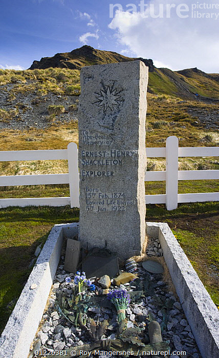 Stock photo of Sir Ernest Shackleton's grave, Grytviken whaling station ...