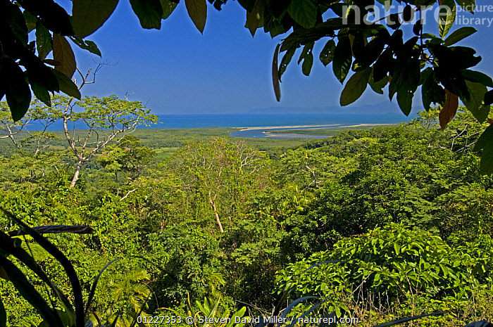 Stock photo of Alexandra Range Lookout, Daintree National Park, North ...