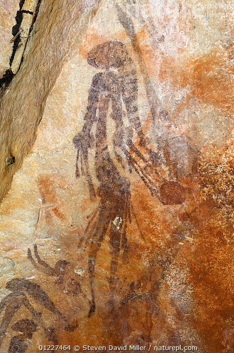 Stock photo of Bradshaw rock art / Gwion Gwion, Northern Kimberley ...