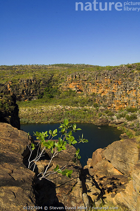 Stock photo of Upper Mitchell Falls on the Mitchell River, Mitchell ...