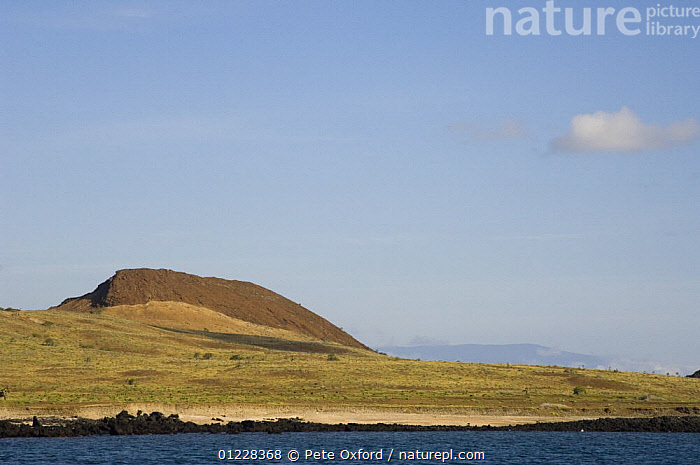Stock photo of Alcedo Volcano showing Parasitic Cone, Isabela Island ...