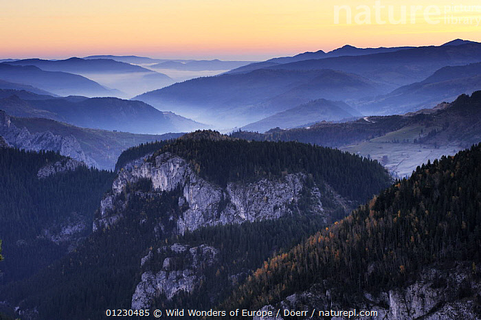 Stock photo of Bicaz Gorges at dawn, Cheile Bicazului-Hasmas National ...
