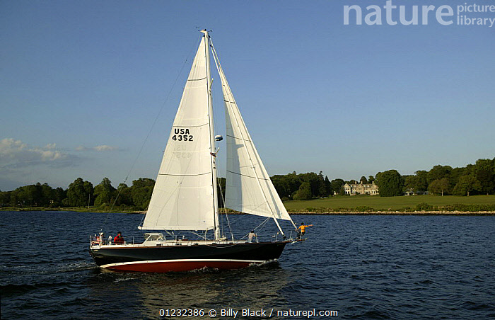 Stock photo of Boy pointing from bow of Shannon 42 yacht sailing in ...