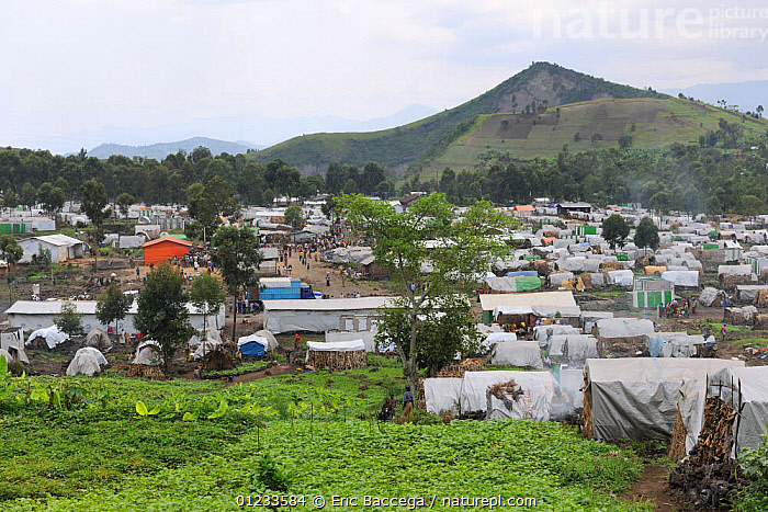 Stock photo of Tents of the refugee camp Mugunga 1, west of Goma, North ...
