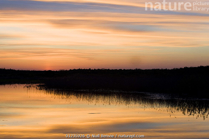 Stock photo of Suur Emajogi River at sunset, Alam-Pedja nature reserve ...