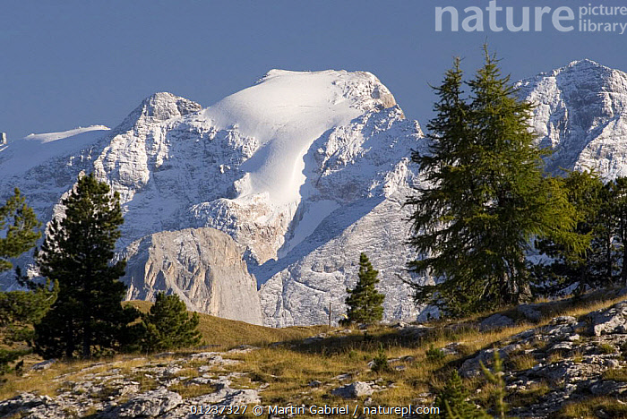 Stock photo of The Marmolata glacier, the highest elevation of the ...