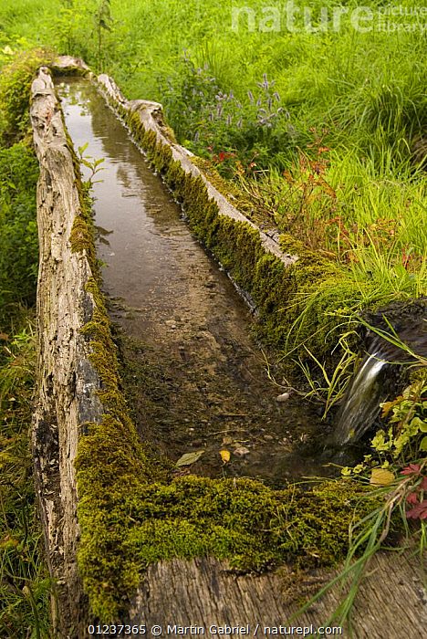 Stock photo of Drinking trough made from hollowed out log, Marienquelle ...