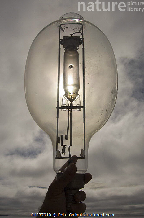 Stock photo of Jigger Bulb, 2KW light bulb used in a squid jigging ...