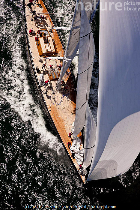 Stock photo of The premier of J-Class yacht "Hanuman," sailing downwind ...