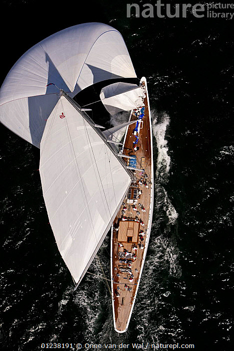 Stock photo of The premier of J-Class yacht "Hanuman," sailing downwind ...