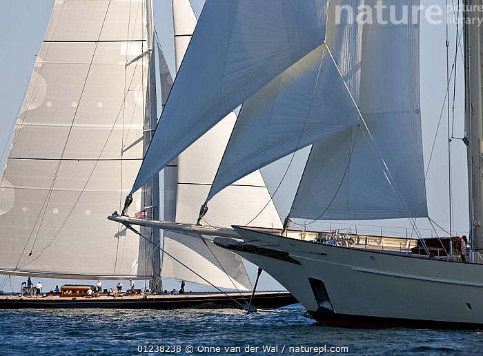 Stock photo of Premier of J-Class yacht "Hanuman", sailing behind Royal ...