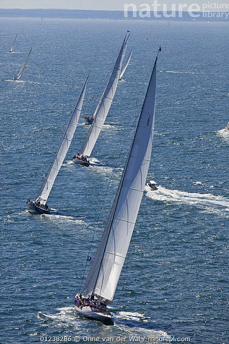 Stock photo of Premier of J-Class yacht "Hanuman" at back of the fleet ...