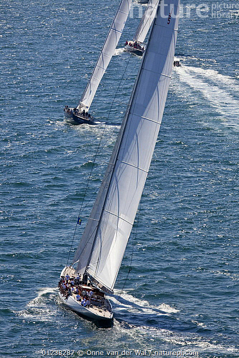 Stock photo of Premier of J-Class yacht "Hanuman" at back of the fleet ...