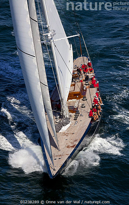 Stock photo of Premier of J-Class yacht "Hanuman" during the Newport ...