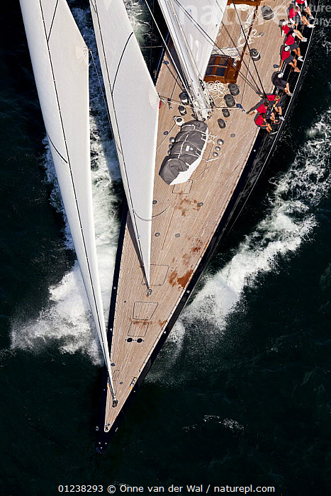 Stock photo of Premier of J-Class yacht "Hanuman" during the Newport ...