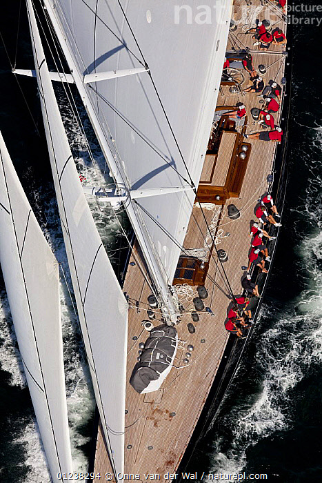 Stock photo of Premier of J-Class yacht "Hanuman" during the Newport ...