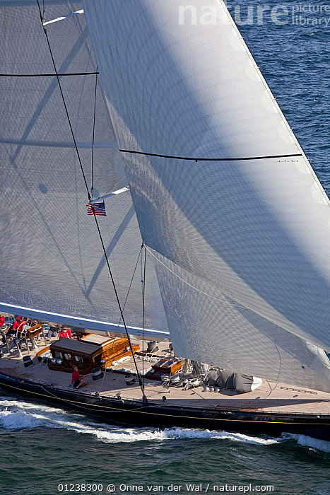 Stock photo of Premier of J-Class yacht "Hanuman" during the Newport ...