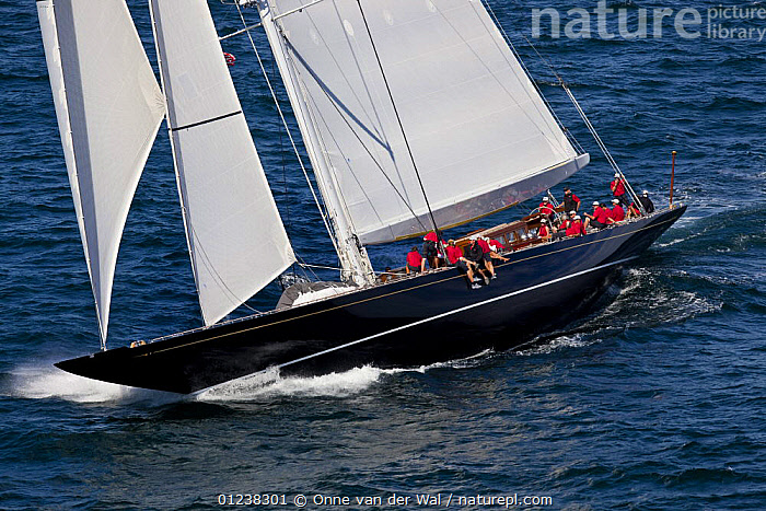 Stock photo of Premier of J-Class yacht "Hanuman" during the Newport ...