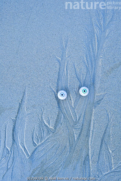 Stock photo of Troll face on a sandy beach, Islay, Scotland.. Available ...