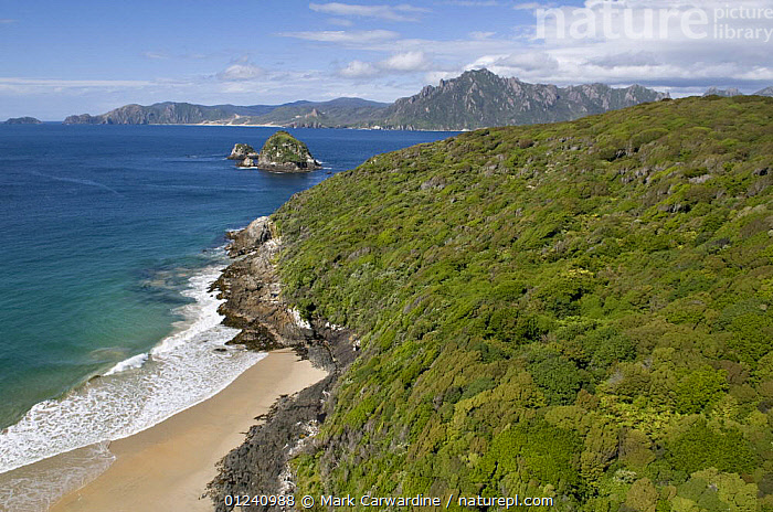 Stock photo of Aerial view of Codfish Island looking north towards ...