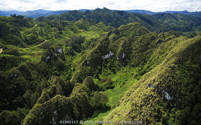 Stock photo of Aerial view of mountains in centre of Papua New Guinea ...