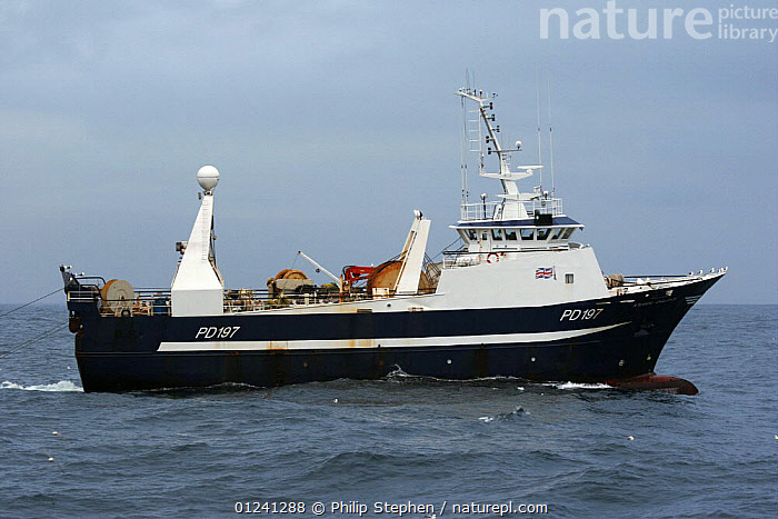 Stock photo of Twin rig stern trawler "Atlantic Challenge" fishing for ...