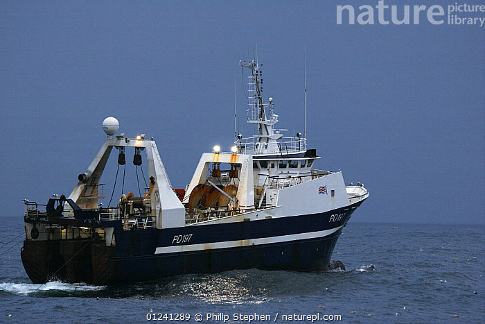 Stock photo of Twin rig stern trawler "Atlantic Challenge" fishing for ...