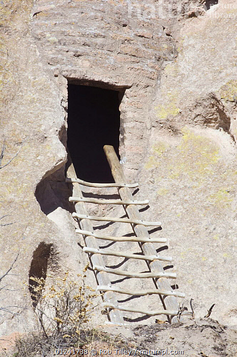 Stock photo of Ladder leading to cliff dwelling of the ancient native ...