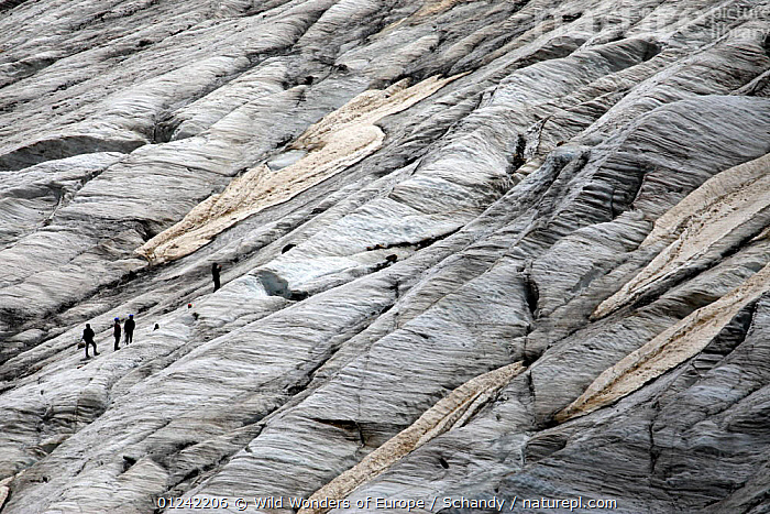 Stock photo of People walking on Alibek glacier, Alibek Valley near ...