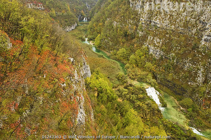 Stock photo of Korana canyon and river, Plitvice Lakes National Park ...