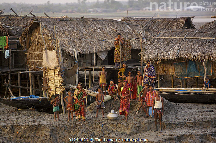 Stock photo of Nolian village with Shrimp fry fishing boats pulled up ...
