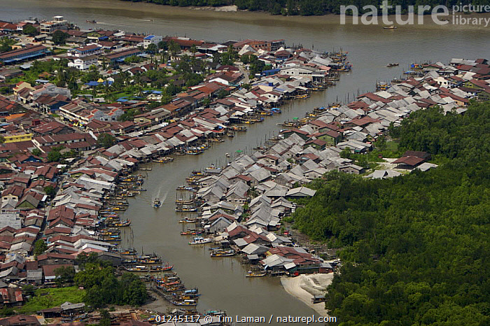 Stock photo of Aerial view of Sepetang fishing village, on the edge of ...