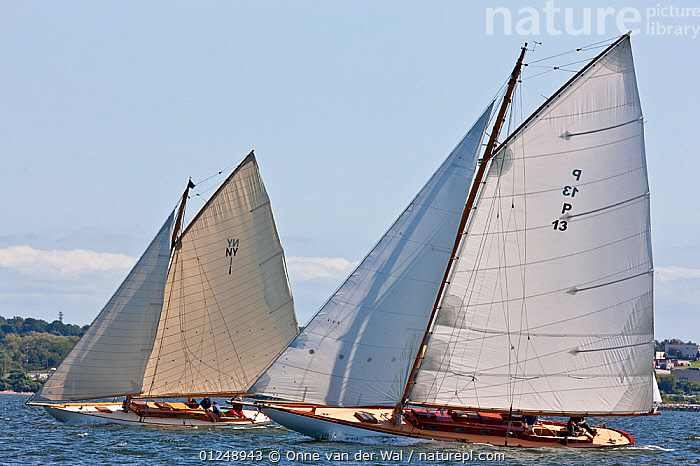 Stock photo of Yachts racing at Newport Classic Yacht Regatta, Rhode ...