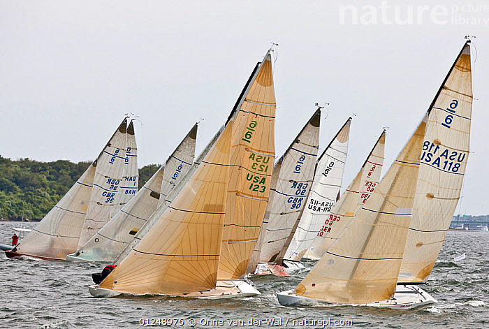 Stock photo of Fleet racing during the 6 Metre Class World ...