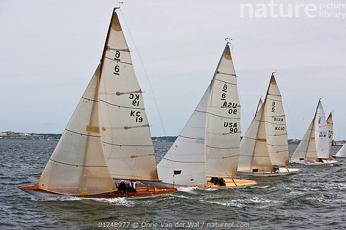 Stock photo of Fleet racing during the 6 Metre Class World ...
