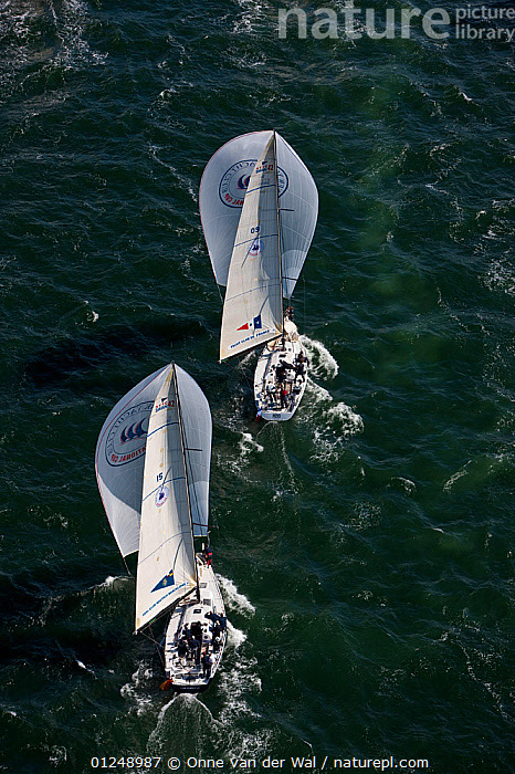 Stock photo of Two yachts racing under spinnaker, New York Yacht Club ...