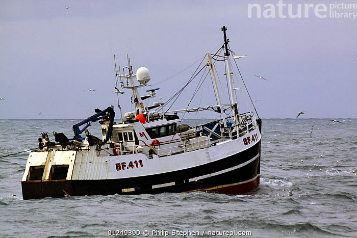Stock photo of Banff registered fishing vessel "Beryl" trawling on the ...