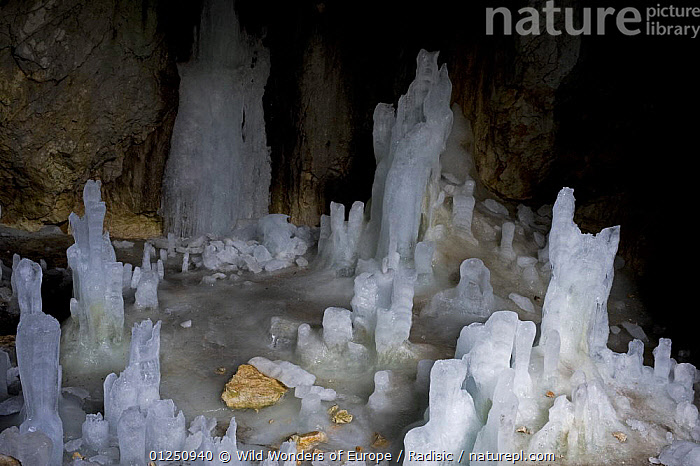 Stock photo of Ice forming stalagmite structures in Ledena Pecina (an ...