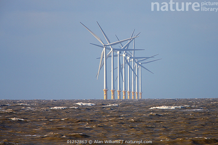 Stock photo of Eight wind turbines, part of an offshore windfarm ...